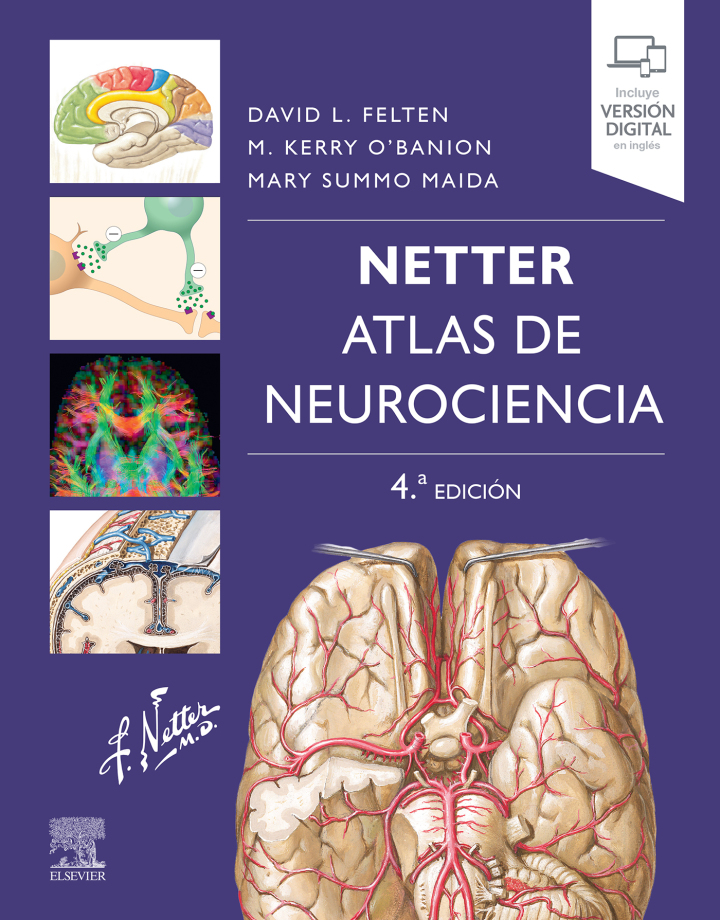 Netter De Anatomía Del Nervio Facial