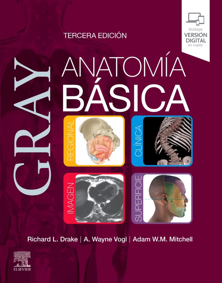 GRAY Anatomía Básica