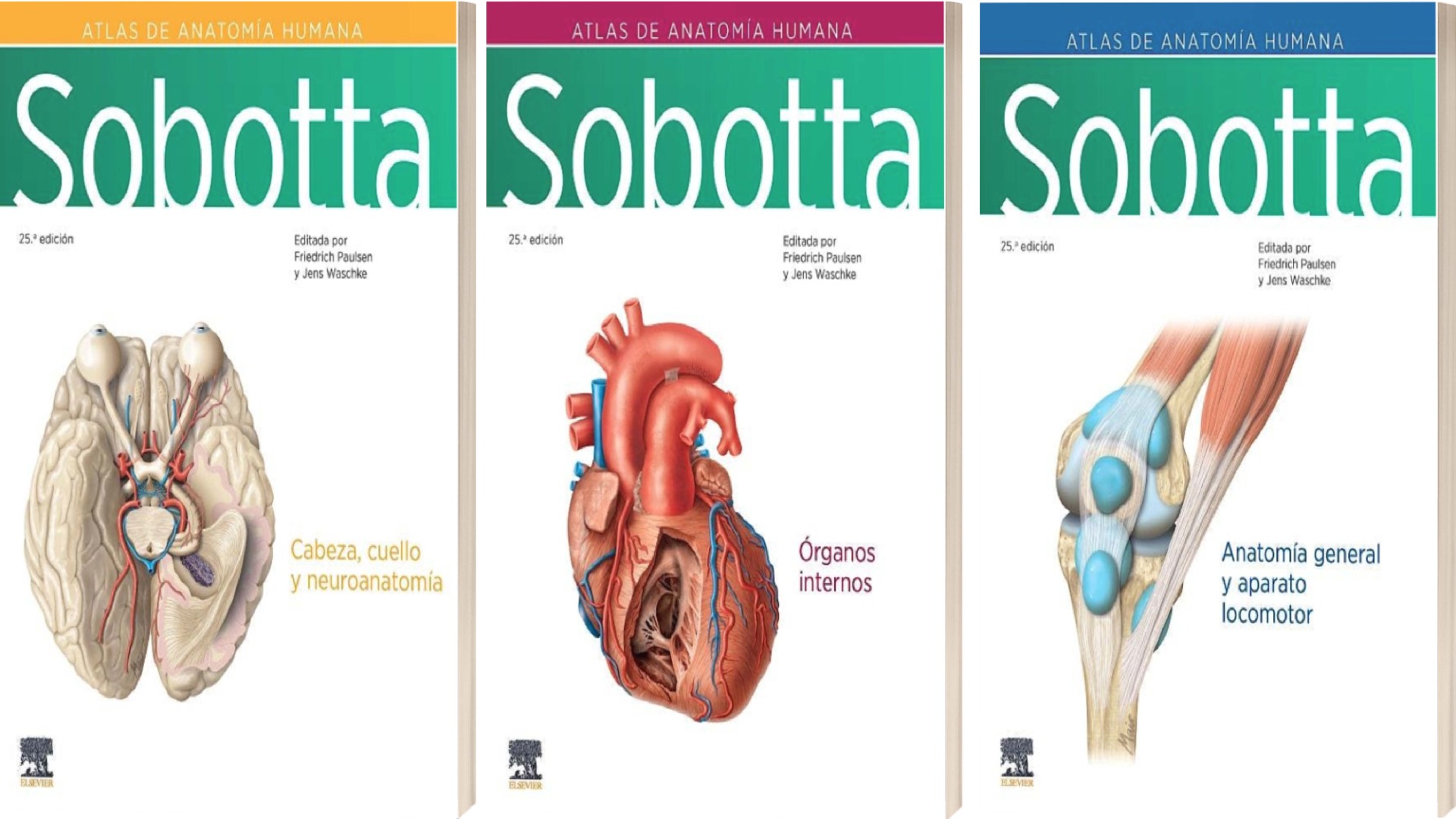 Sobotta. Atlas de Anatomía Humana 3 vol.+ Tablas
