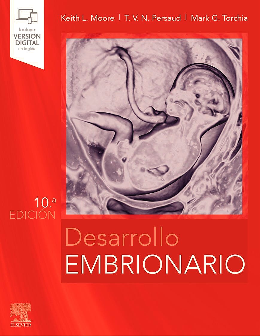 Desarrollo embrionario